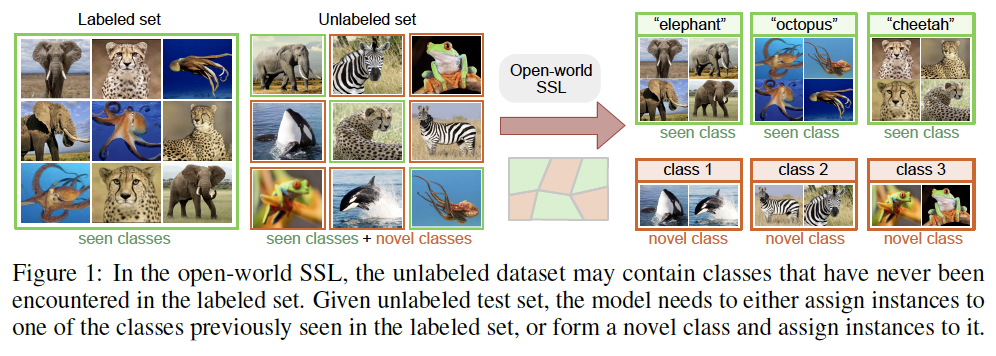 Open-World Semi-Supervised learning | Abdullah Mamun