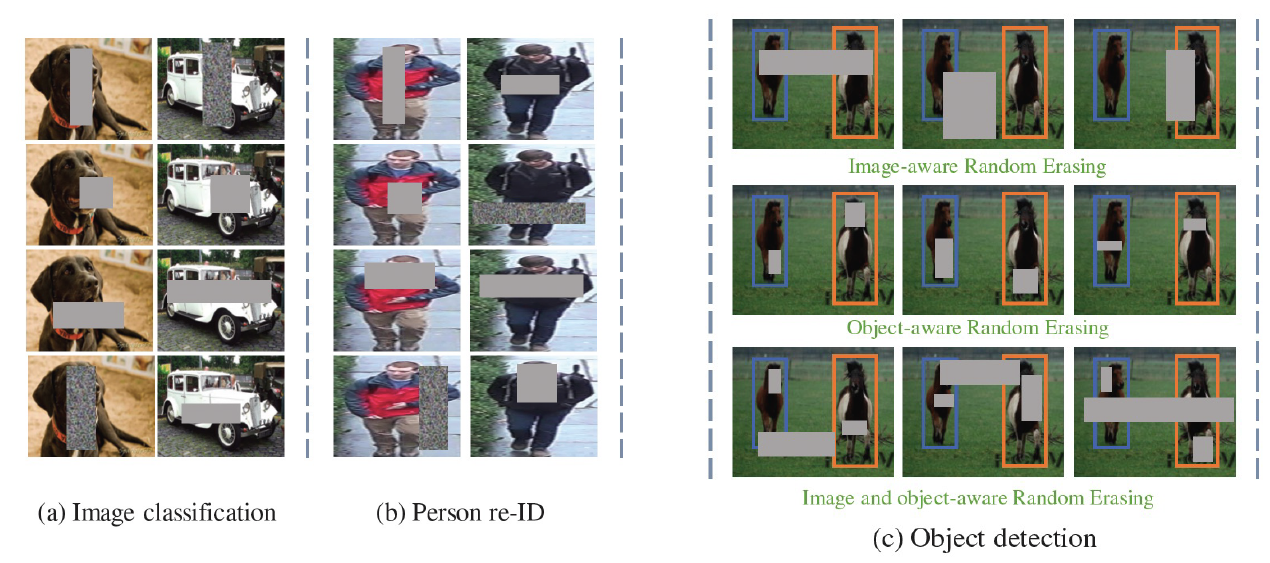 Random Erasing Data Augmentation | Abdullah Mamun